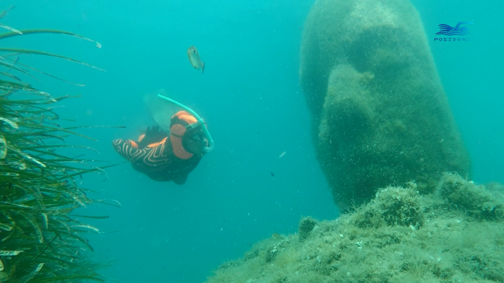 Posidonia 2024 - 400 km de nage pour la Méditerranée - Octopuce Production
